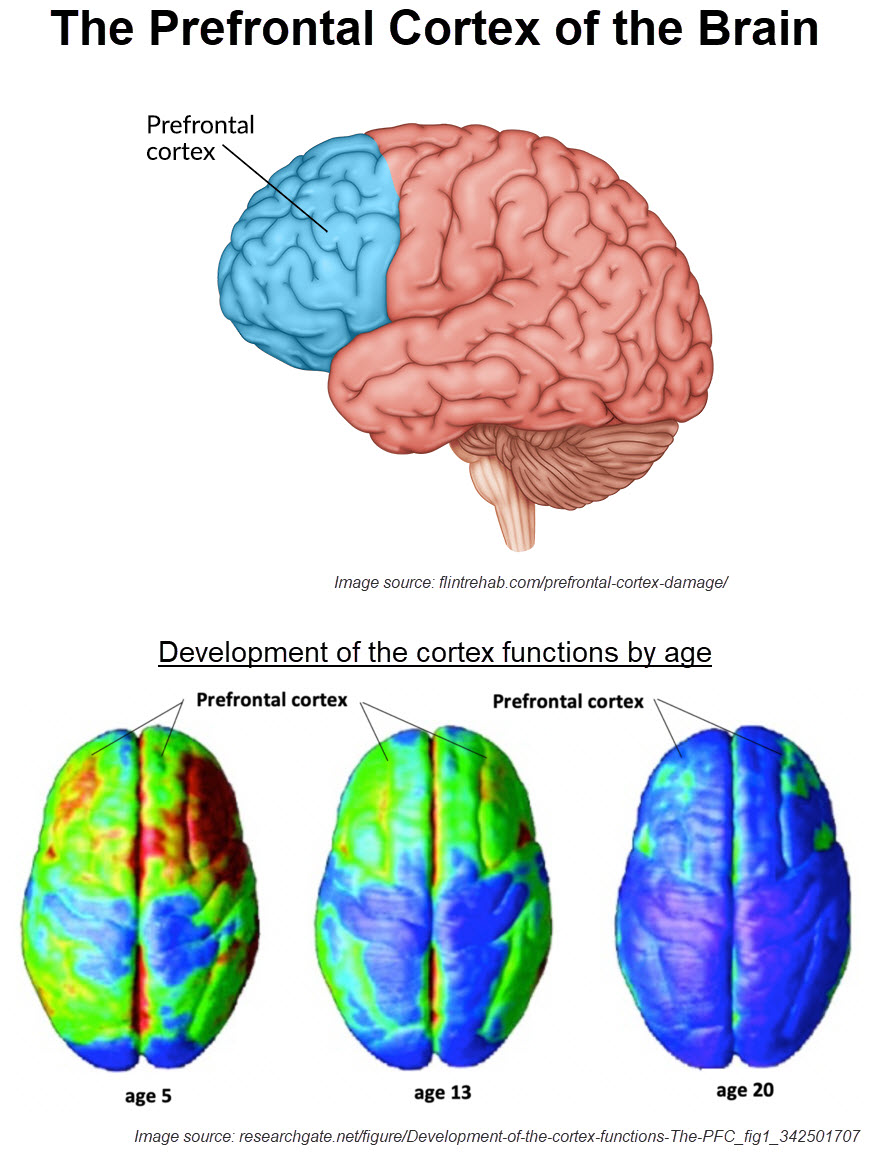 No Gender Transitioning of New Brunswick Children Without Parental Consent