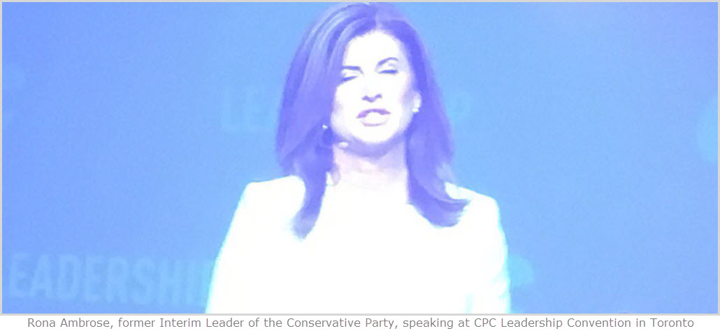 Sturgeon River-Parkland byelection to replace Conservative MP Rona Ambrose